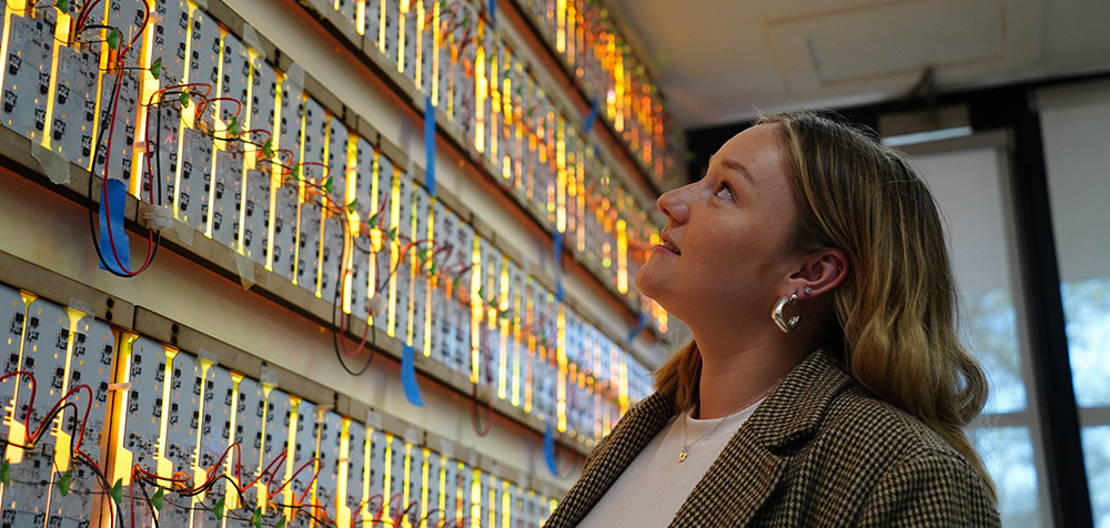 University Graduates